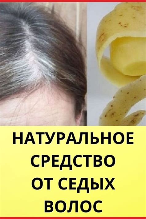 Красота Седые волосы Волосы Маски для волос