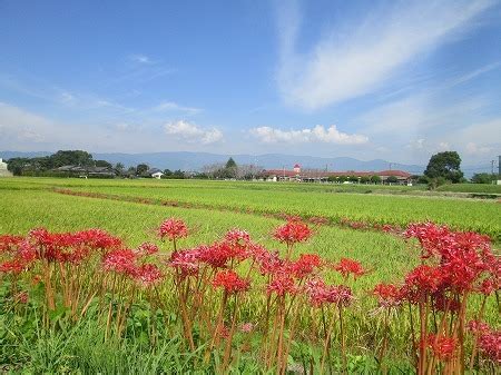 岡原もぞか保育園 球磨を歩く