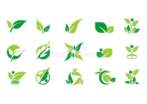 Hojas Verdes Planta En Los Arbustos De Tierra Dibujo De Esquema Para