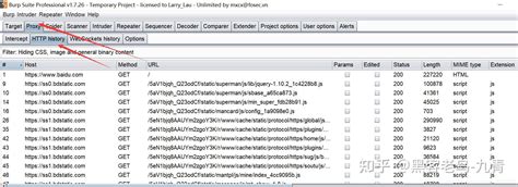 Burpsuite