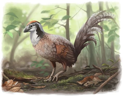 Jinfengopteryx Junglefowl Emily Willoughby Art