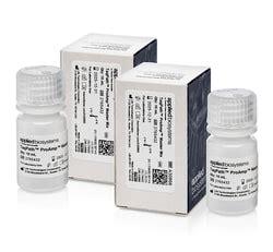Applied Biosystems TaqPath ProAmp Master Mix 2 X 10 ML Fisher