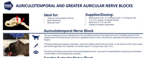 Greater Auricular Nerve Block