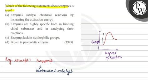 Unveiling The Truth Which Of The Following Statements About Enzymes Is Accurate