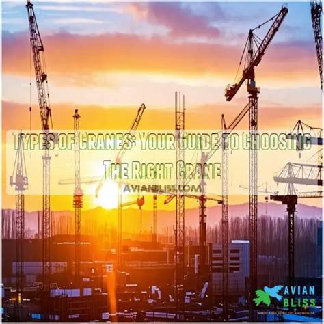 Types Of Cranes Your Guide To Choosing The Right Crane