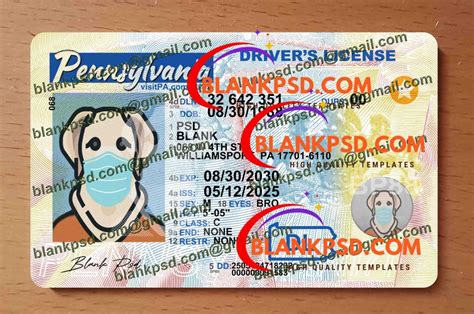 Pennsylvania Drivers License Template New V3 2400 Dpi 2025