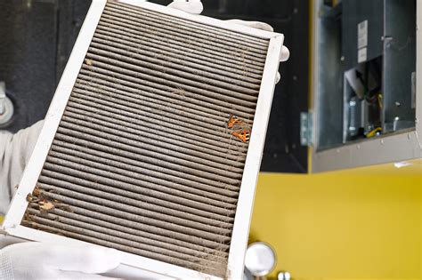 Easy Spring Home Maintenance Chores Ray Cook Realty Llc