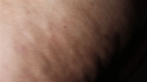 Mistress Loow Toilet Seat Crush Full Weight Pt 2 Hardballbusting Clips4sale