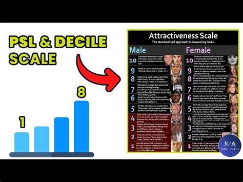 Mtn Psl Scale What Mtn Means In The Psl Rating System Looksmaxxing Wiki