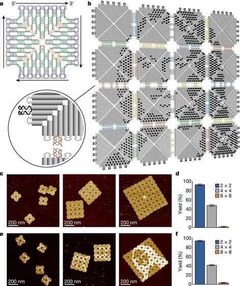 Implementation With Dna Origami Tiles A Strand Level Diagram Of A