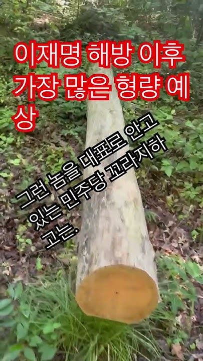 그런 놈을 대표로 안고 있는 민주당 꼬라지하고는 Youtube