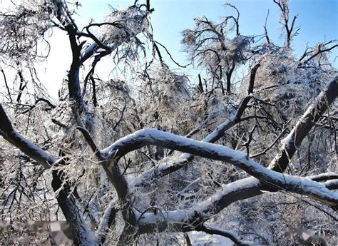 净月潭的雪景美成画卷 搜狐大视野 搜狐新闻