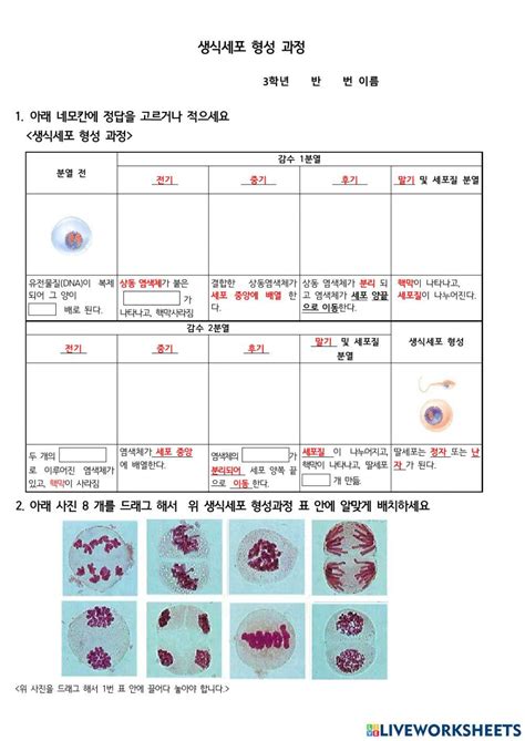 3학년 5생식과 유전 생식세포 분열 학습지 Online Exercise For Live Worksheets