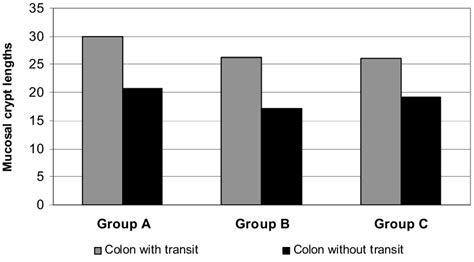 Measurements Obtained From Computerized Morphometry On The Colon