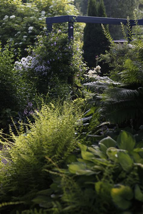 Сад в начале июля: home_and_garden — LiveJournal