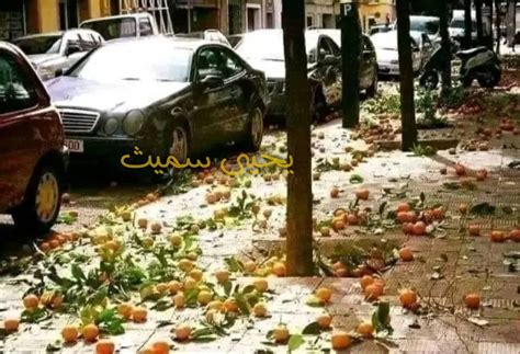 البتت الفصيحة7