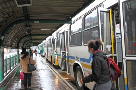 O Que Mudou Na Lei Que Tirou O Passe Livre No Dia Das Eleições Em Porto