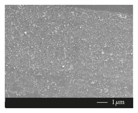 Sem Micrographs Of The Printed Films With A 1 Layer 10000x B 2