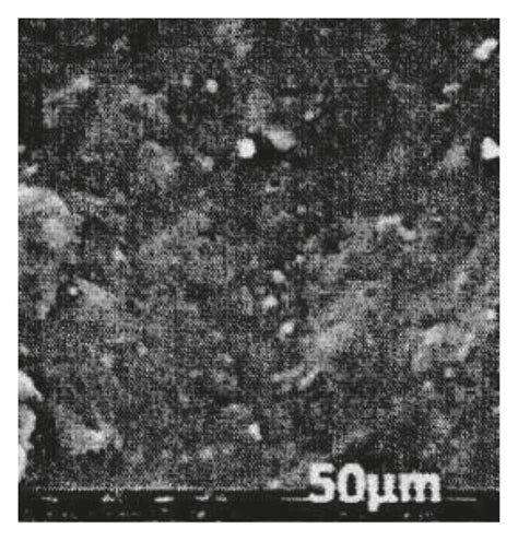 Crumb Rubber Sample And Scanning Electron Microscope Sem A Raw