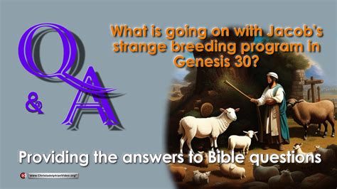 Q A What Is Going On With Jacobs Strange Breeding Program In Genesis