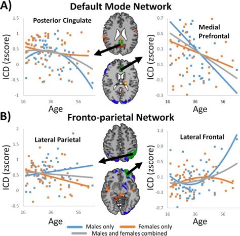 Sex Differences In Normal Age Trajectories Of Functional Brain Networks Pmc