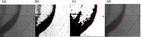 a original raw image b binary image c filtered binary image with