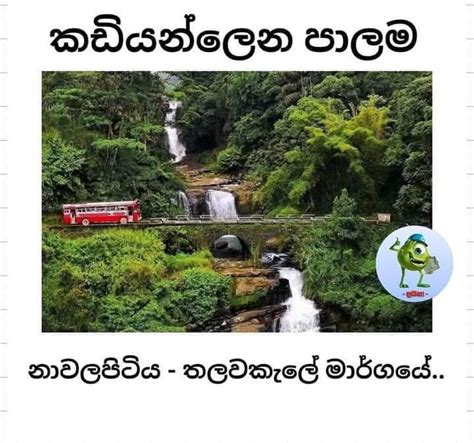 පාරුව පාරුව Added A New Photo