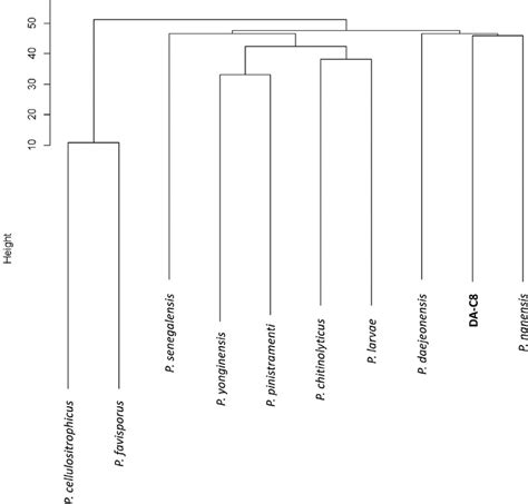 Dendrogram Of Average Nucleotide Identity Ani Values Ani Values
