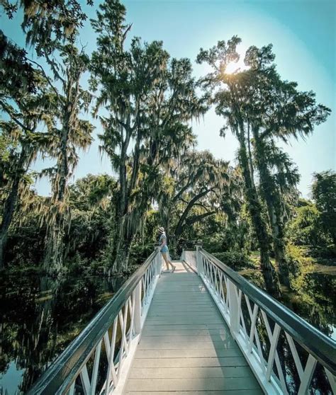 Photo Of Marie Michele Doucet