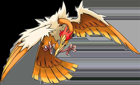 Pokemon 10022 Shiny Mega Fearow Mega S Picture For Pokemon Go Players