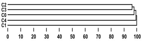 dendrogram by the single linkage clustering method representing the