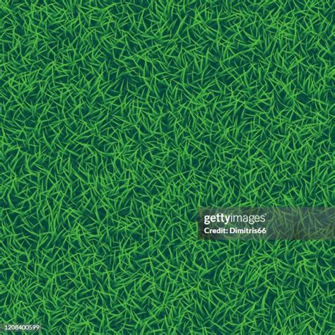 47 Grass Texture Above High Res Illustrations Getty Images