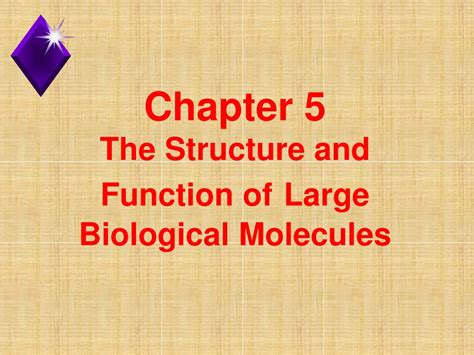 Ppt Exploring Macromolecules Key Elements And Functions In Large Biological Molecules