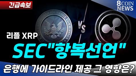 리플 긴급속보 Sec항복선언 은행에 가이드라인 제공 그 영향은 Youtube