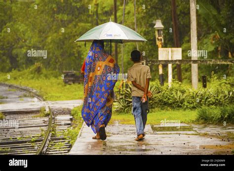 Sinhalese Mother And Son With Umbrella In Heavy Rain Monsoon