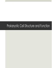 Lecture Prokaryotic Structure And Function Students Prokaryotic Cell Structure And