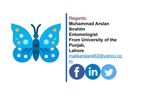 Muhammad Arslan Ibrahim On Linkedin Freelancer Fiverr Email Marketing Professional