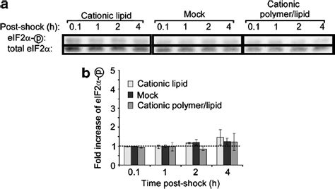 Cationic Polymer And Lipid Transfection Reagents Do Not Induce Download Scientific Diagram