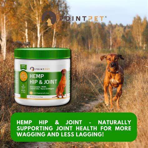 The Power Of Hemp Hip And Joint Pointpet