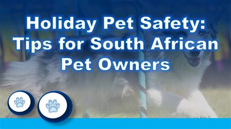 Holiday Pet Safety Tips For South African Pet Owners Technopet