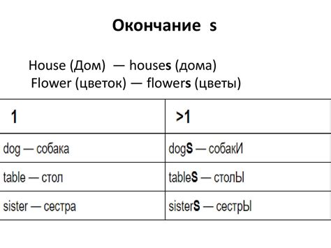 Образование множественного числа в английском языке Online Presentation