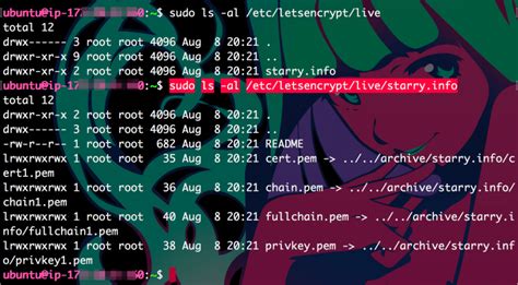 Nginx 서버에 사용을 위한 Ssl 인증서 발급받기 Lets Encrypt 스위프트코딩