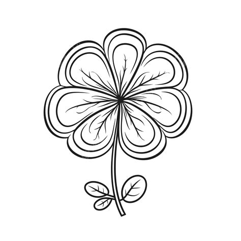 White Clover Drawing