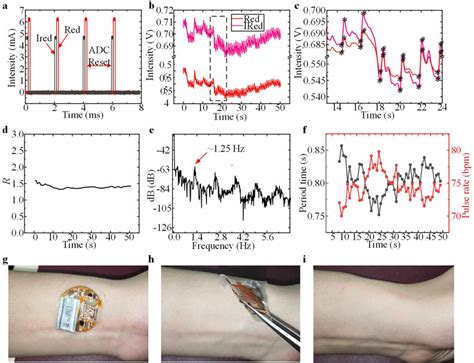Ppg Signal Analysis And Compatible Demonstration Of The Fhe A Time