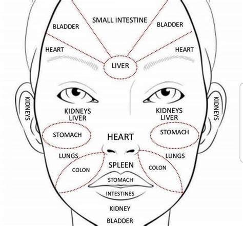 Pimple Locations And Your Inner Organs Face Mapping Face Mapping