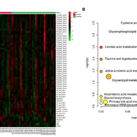 Clustering And Pathway Enrichment Analysis Of Differential Metabolites