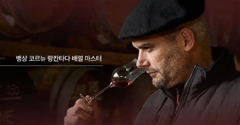 ‘위스키·하이볼 다음은 브랜디 종합주류기업 격전지로