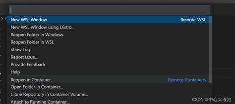 Windows11通过wsl2安装ubuntu2004lts并编译c程序wsl编译ubuntu Csdn博客