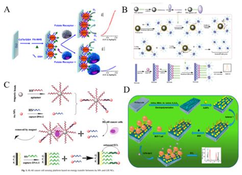 Biosensors Special Issue Nanomaterial Based Biosensors For Biomedical Applications