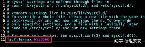 修改linux系统的文件打开数量（too Many Open Files） 知乎